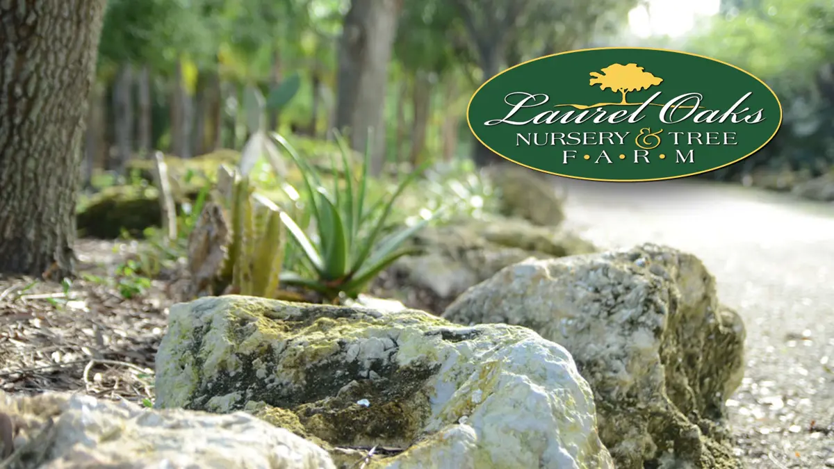 Contact - Laurel Oaks Nursery & Tree Farm